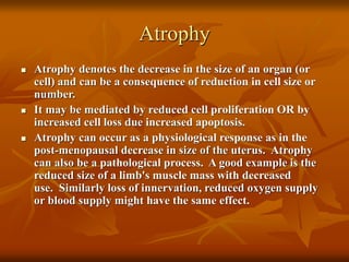 basic of oncology awreness to general public for .ppt