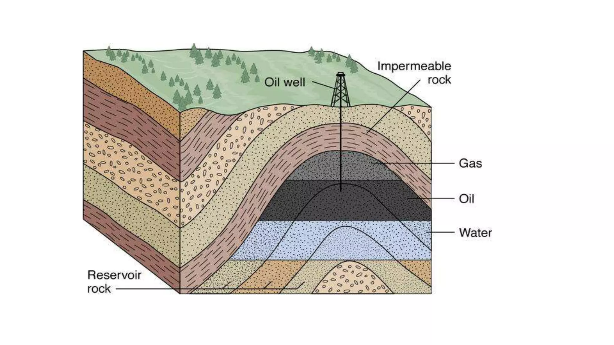 Basic of petroleum | PPTX
