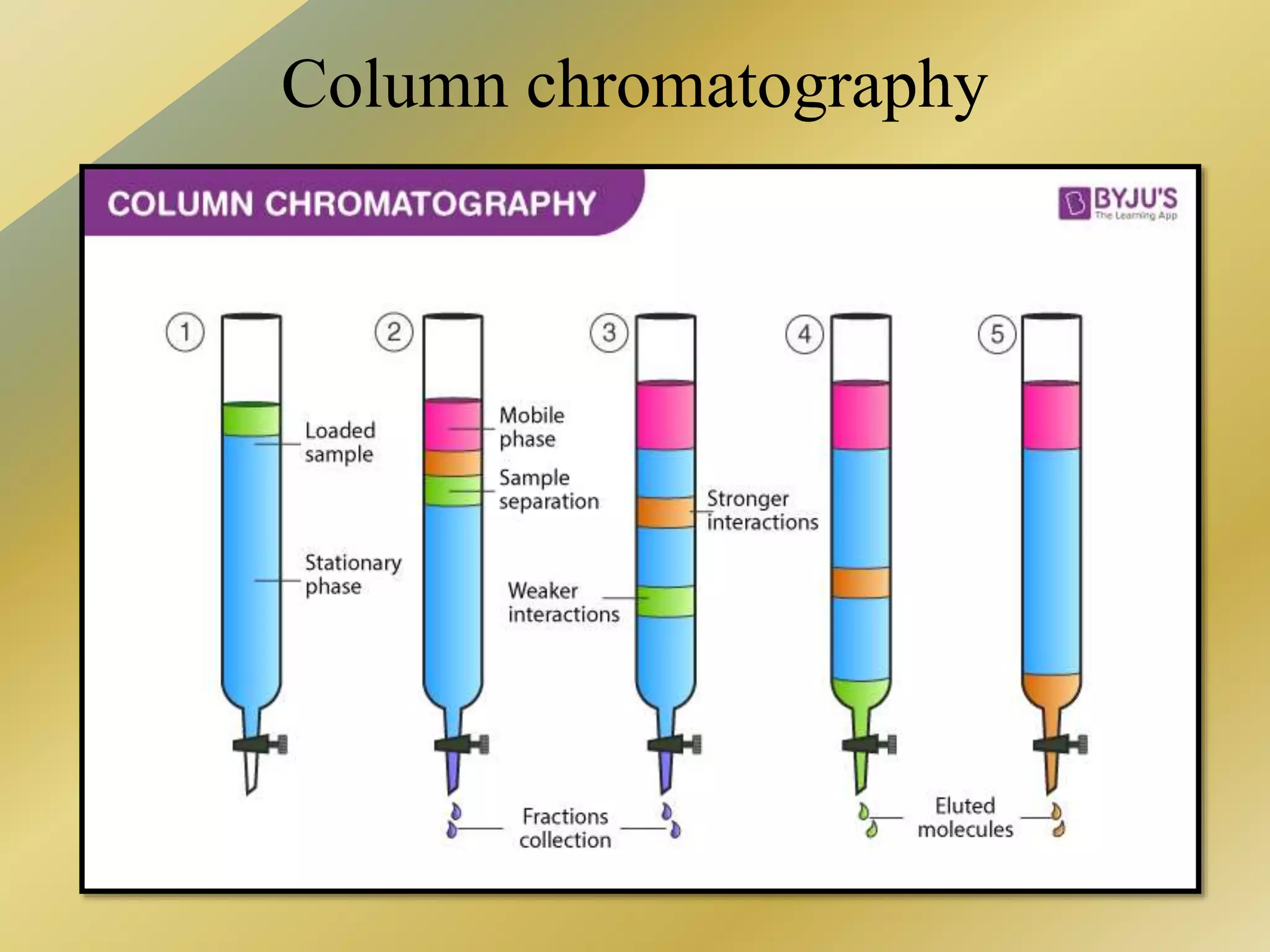 Basic of phytochemistry | PPTX