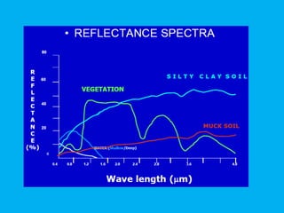 Basic of Remote Sensing | PPTX