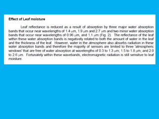 Basic of Remote Sensing | PPTX