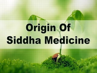 Basic of siddha , siddha system of medicine | PPTX