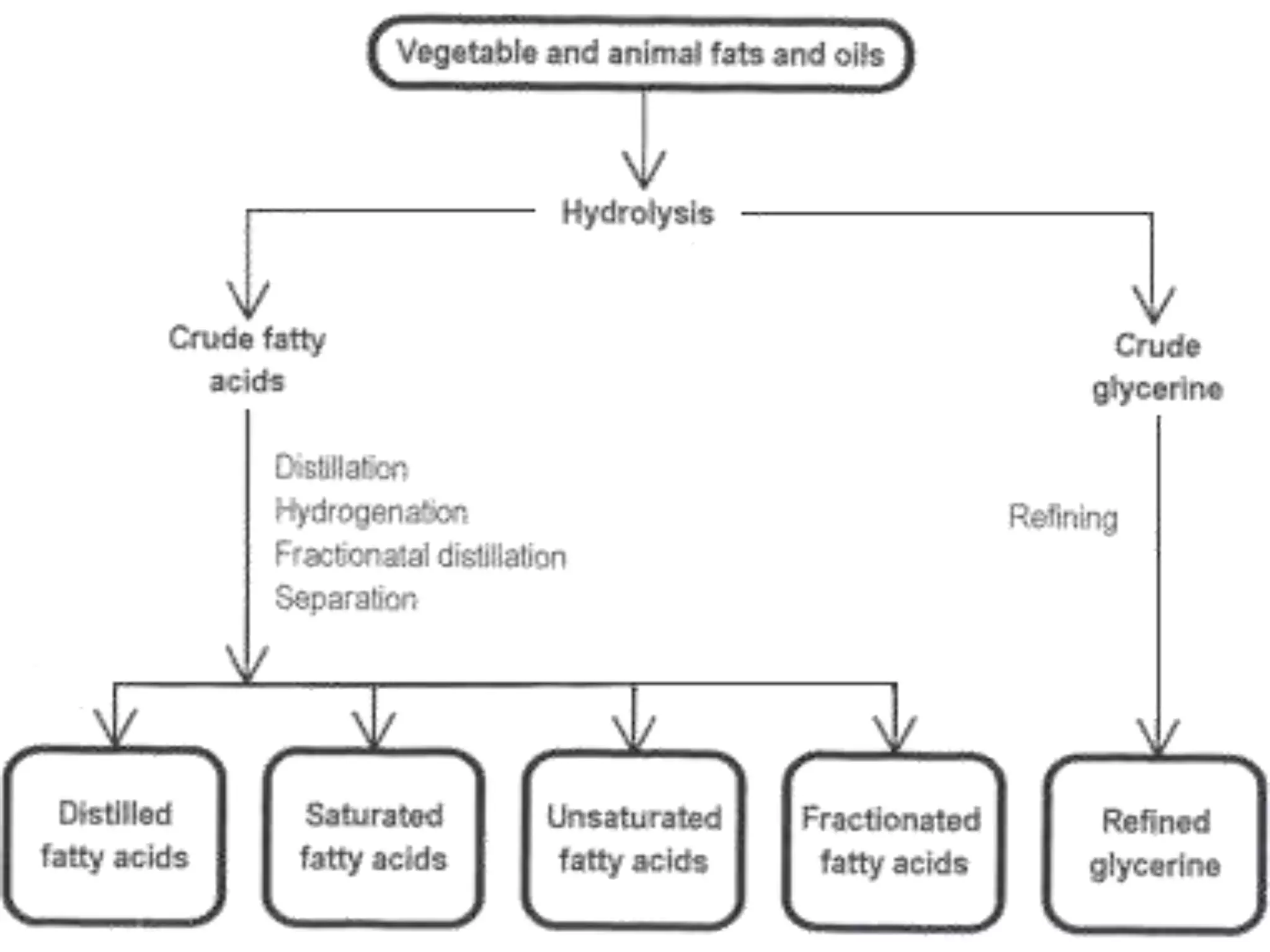 Basic oleochemical and its derivative | PPTX