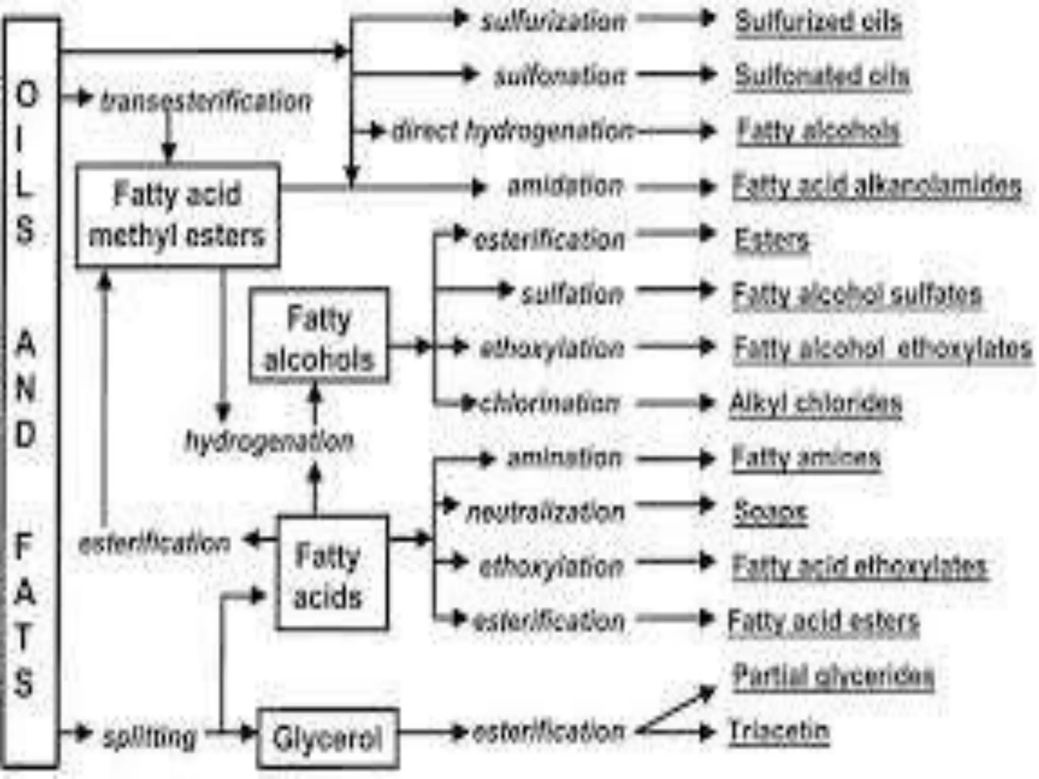 Basic oleochemical and its derivative | PPTX