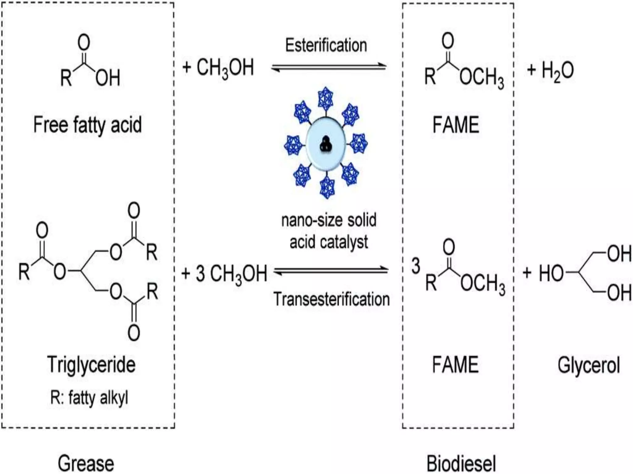 Basic oleochemical and its derivative | PPTX