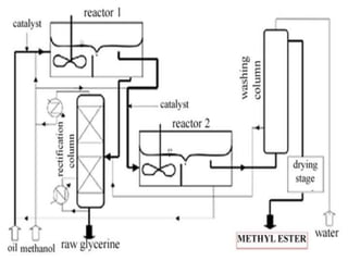 Basic oleochemical and its derivative | PPTX