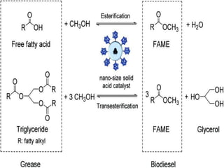 Basic oleochemical and its derivative | PPTX