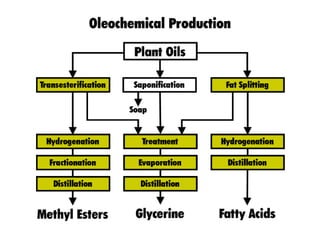 Basic oleochemical and its derivative | PPT