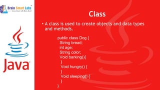 Basic online java course - Brainsmartlabs | PPTX