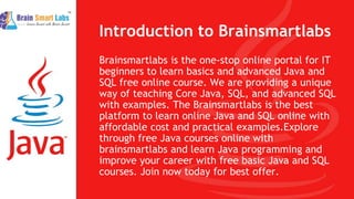 Basic online java course - Brainsmartlabs | PPTX