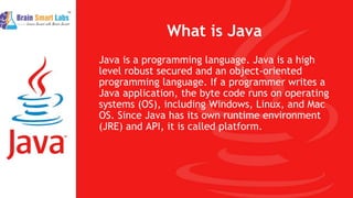 Basic online java course - Brainsmartlabs | PPTX