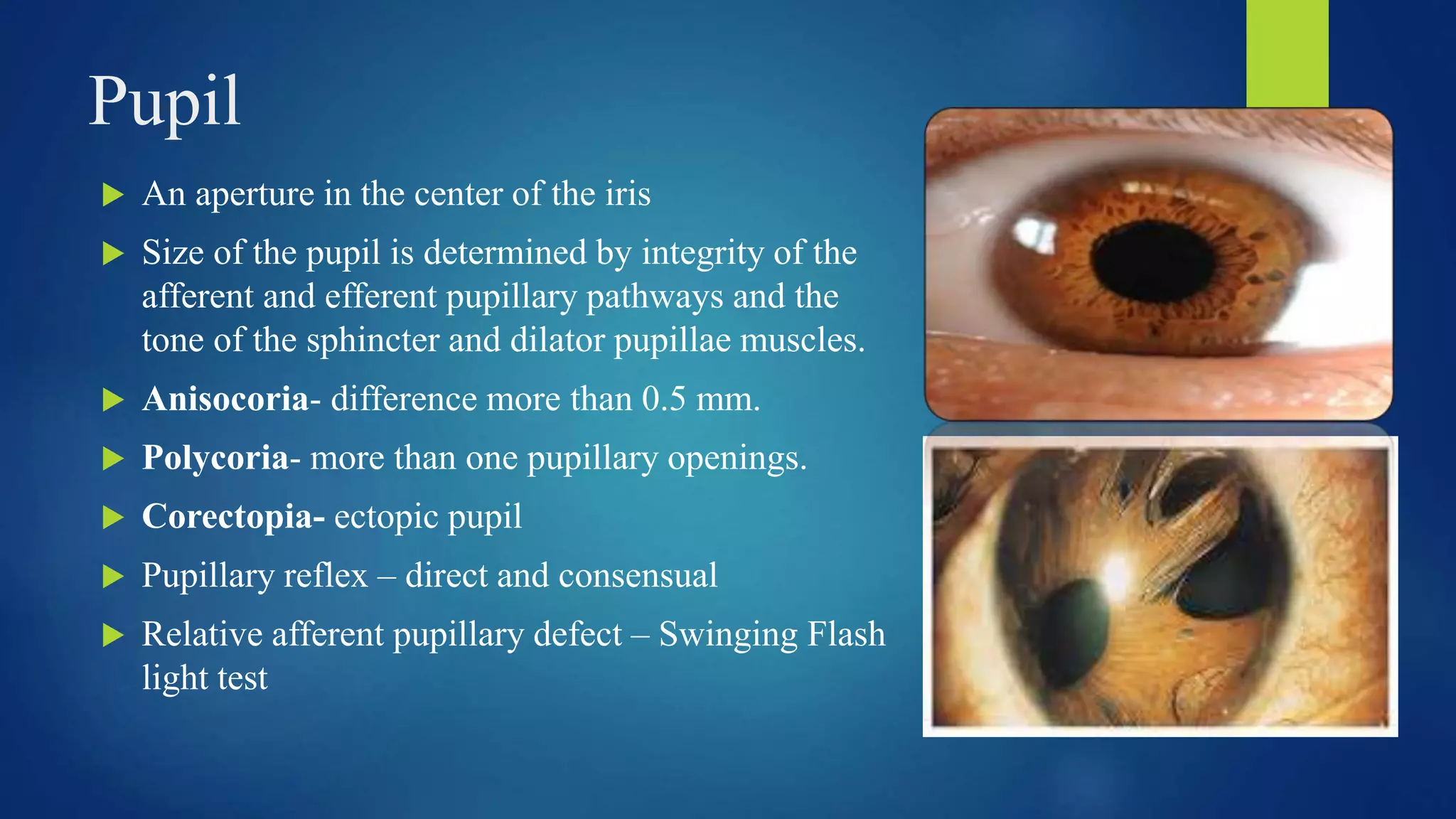 Basic ophthalmological examination in OPD | PPTX