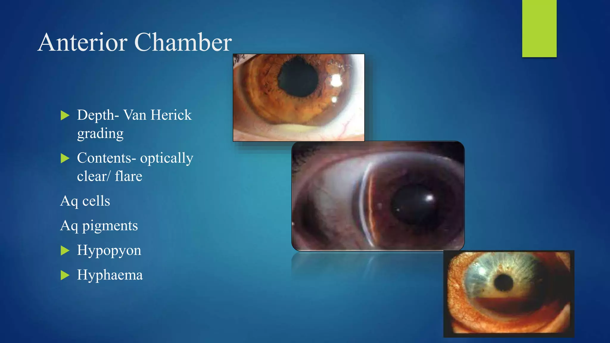 Basic ophthalmological examination in OPD | PPTX