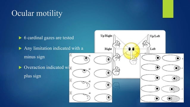 Basic ophthalmological examination in OPD