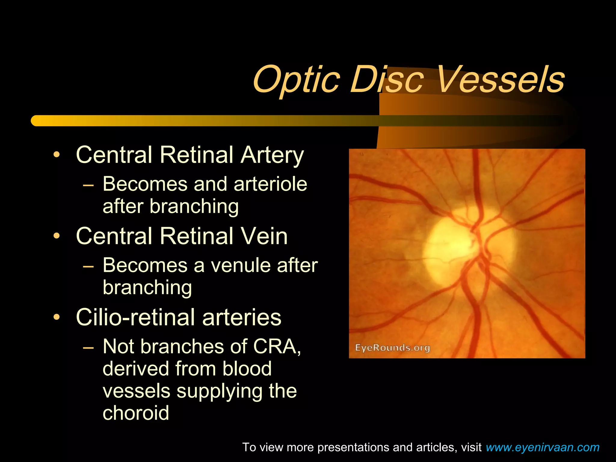 Basic opthalmoscopy findings - presentation at www.eyenirvaan.com