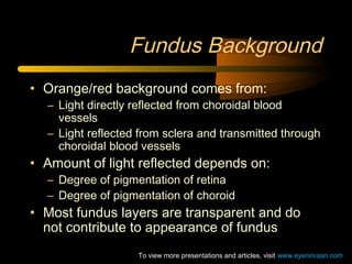Basic opthalmoscopy findings - presentation at www.eyenirvaan.com