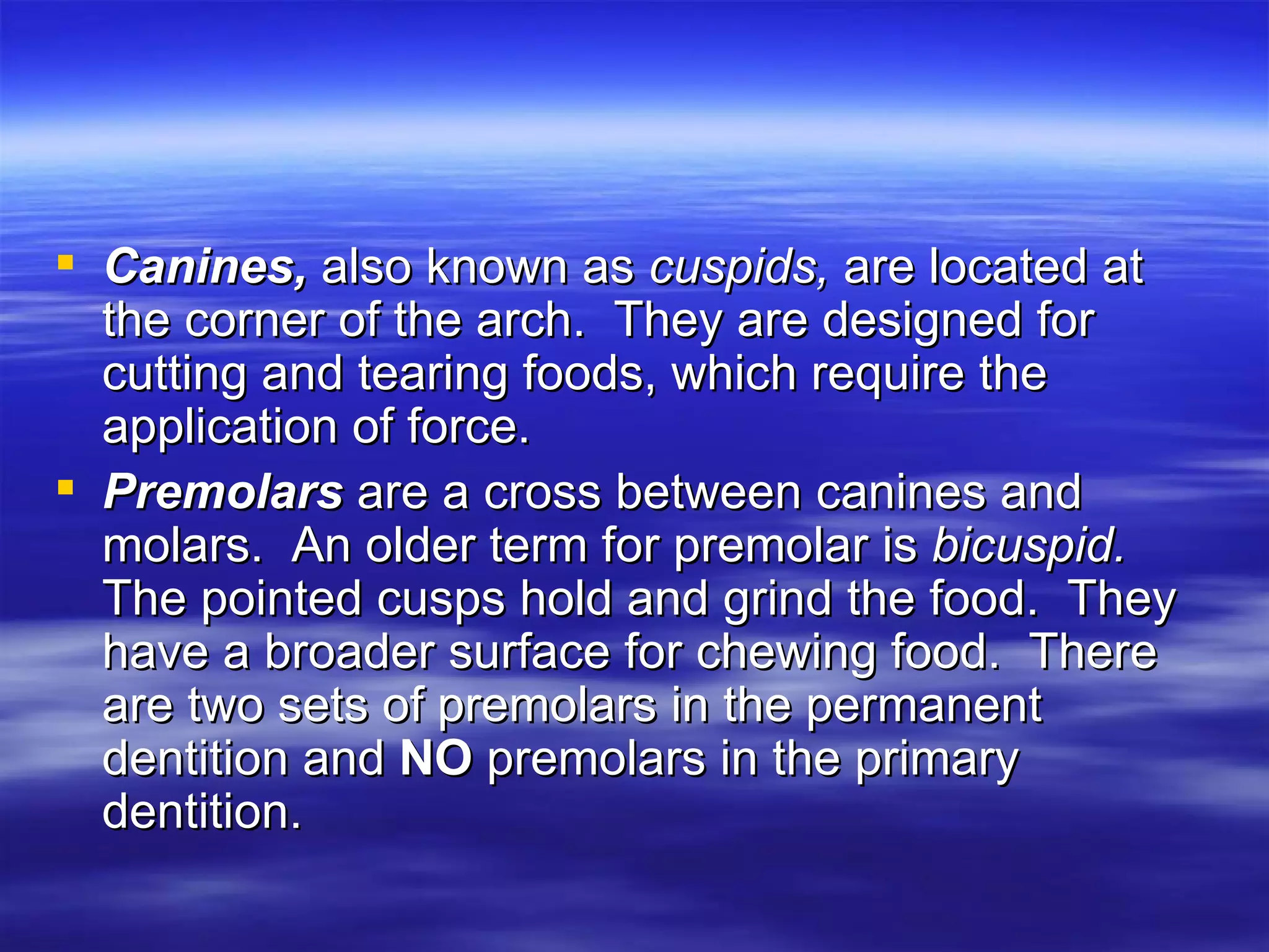 Basic oral anatomy | PPT