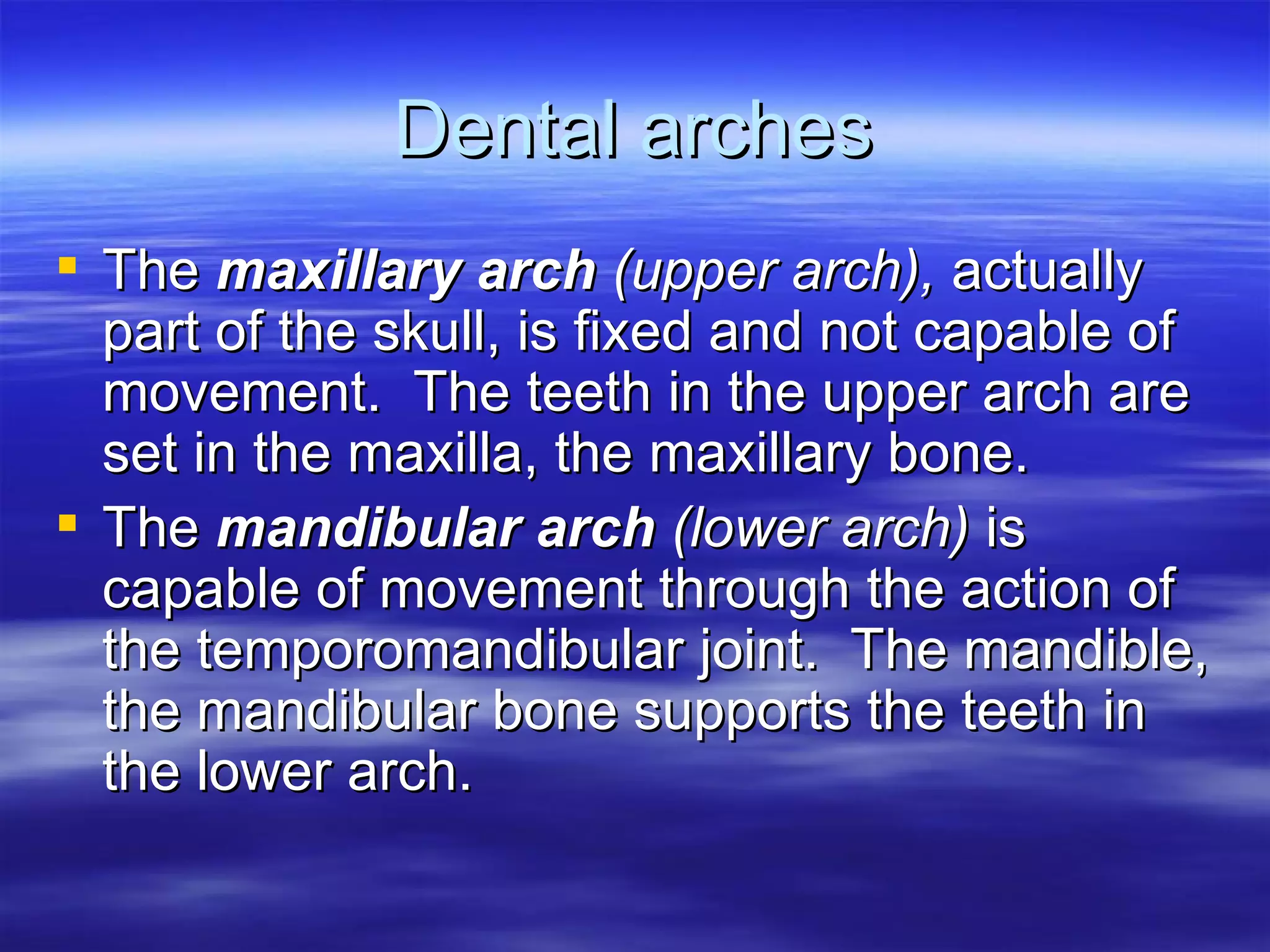 Basic oral anatomy | PPT