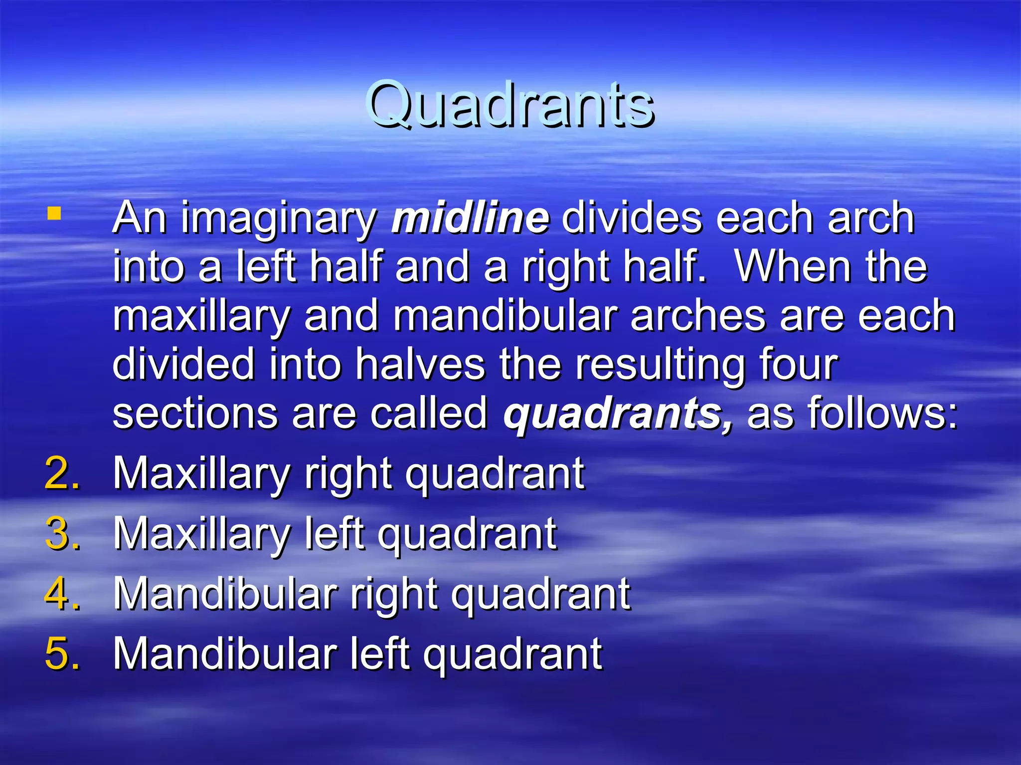 Basic oral anatomy | PPT