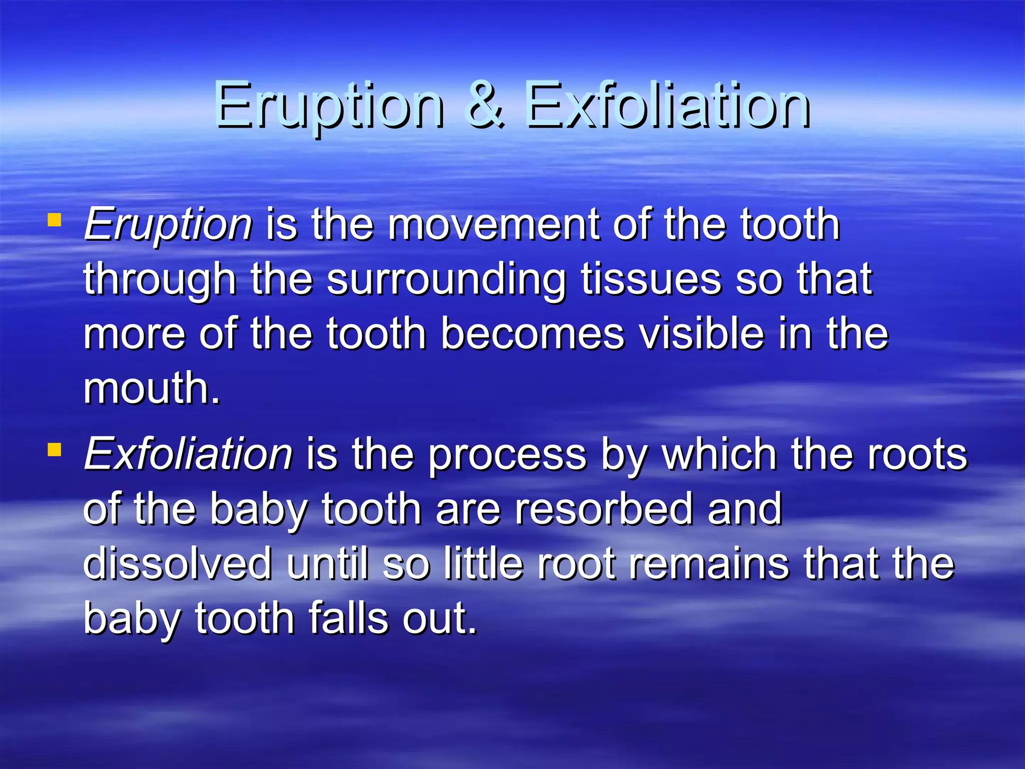 Basic oral anatomy | PPT