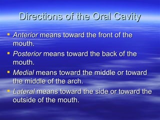 Basic oral anatomy | PPT