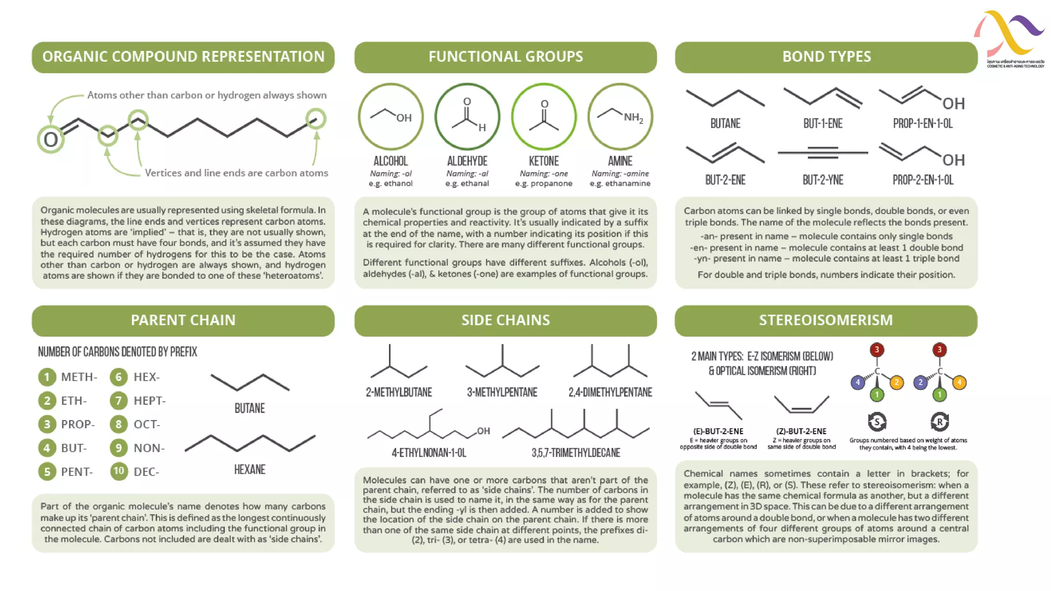 สารอินทรีย์ และหมู่ฟังก์ชัน : Organic Compounds and Functional Groups | PDF