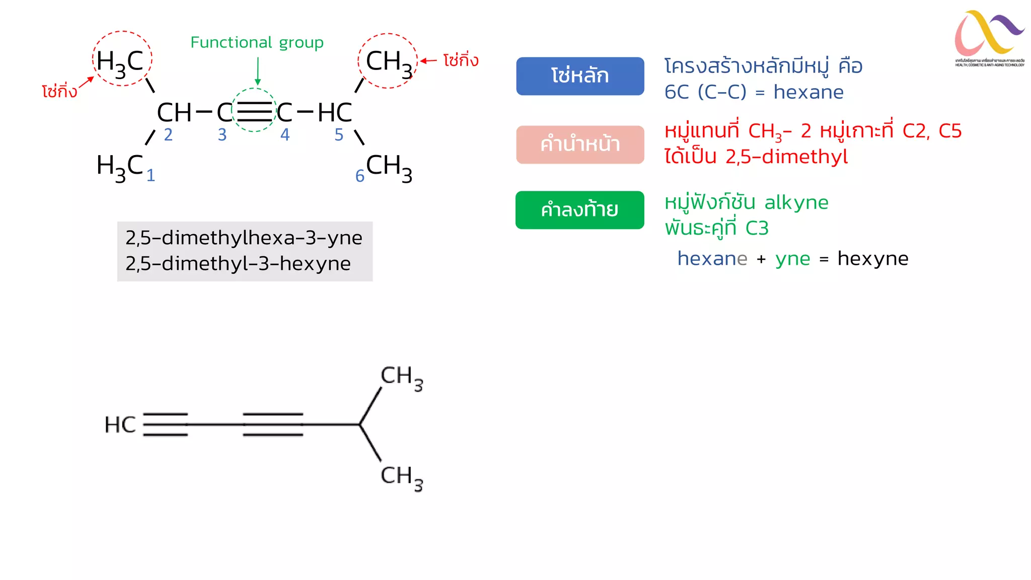 สารอินทรีย์ และหมู่ฟังก์ชัน : Organic Compounds and Functional Groups | PDF
