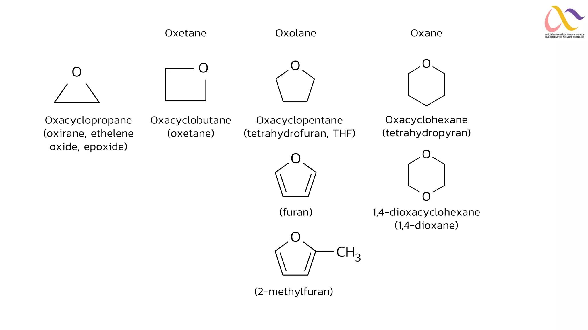 สารอินทรีย์ และหมู่ฟังก์ชัน : Organic Compounds and Functional Groups | PDF