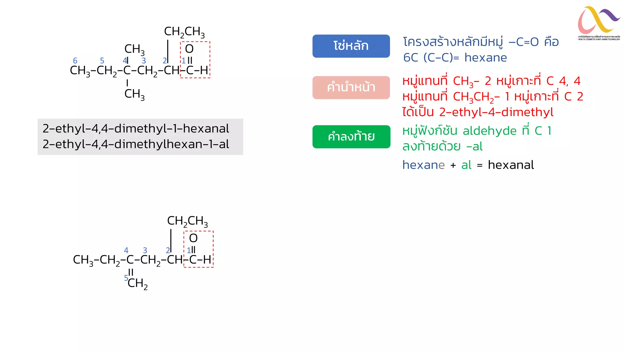 สารอินทรีย์ และหมู่ฟังก์ชัน : Organic Compounds and Functional Groups | PDF