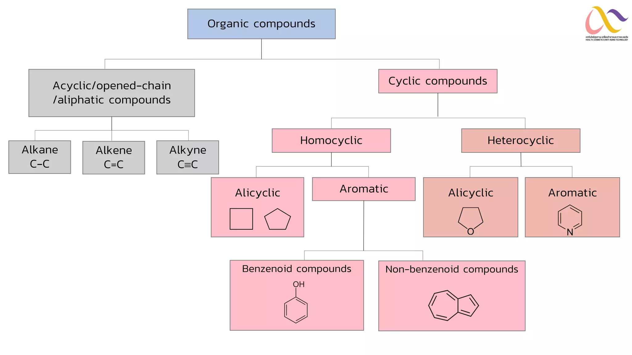 สารอินทรีย์ และหมู่ฟังก์ชัน : Organic Compounds and Functional Groups | PDF