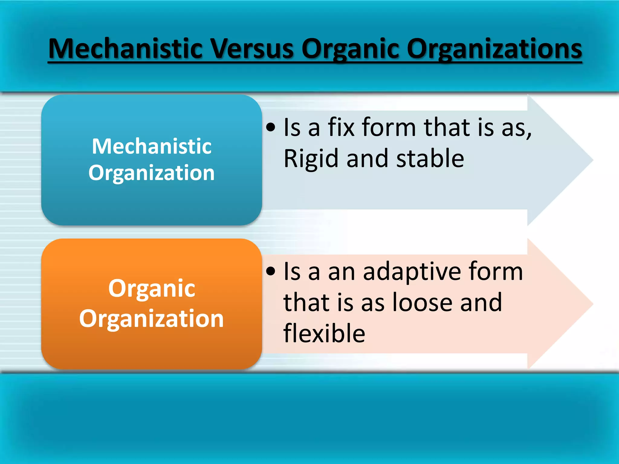 Basic Organizational Design | PPT