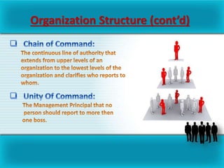 Basic Organizational Design | PPTX