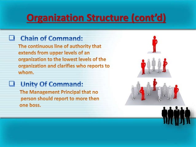Basic Organizational Design | PPT
