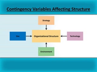 Basic Organizational Design | PPTX