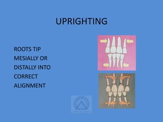 BASIC_ORTHODONTICS.pdf