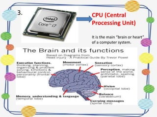 BASIC SET OF DEVICES FOUND IN MOST PERSONAL COMPUTER | PPTX