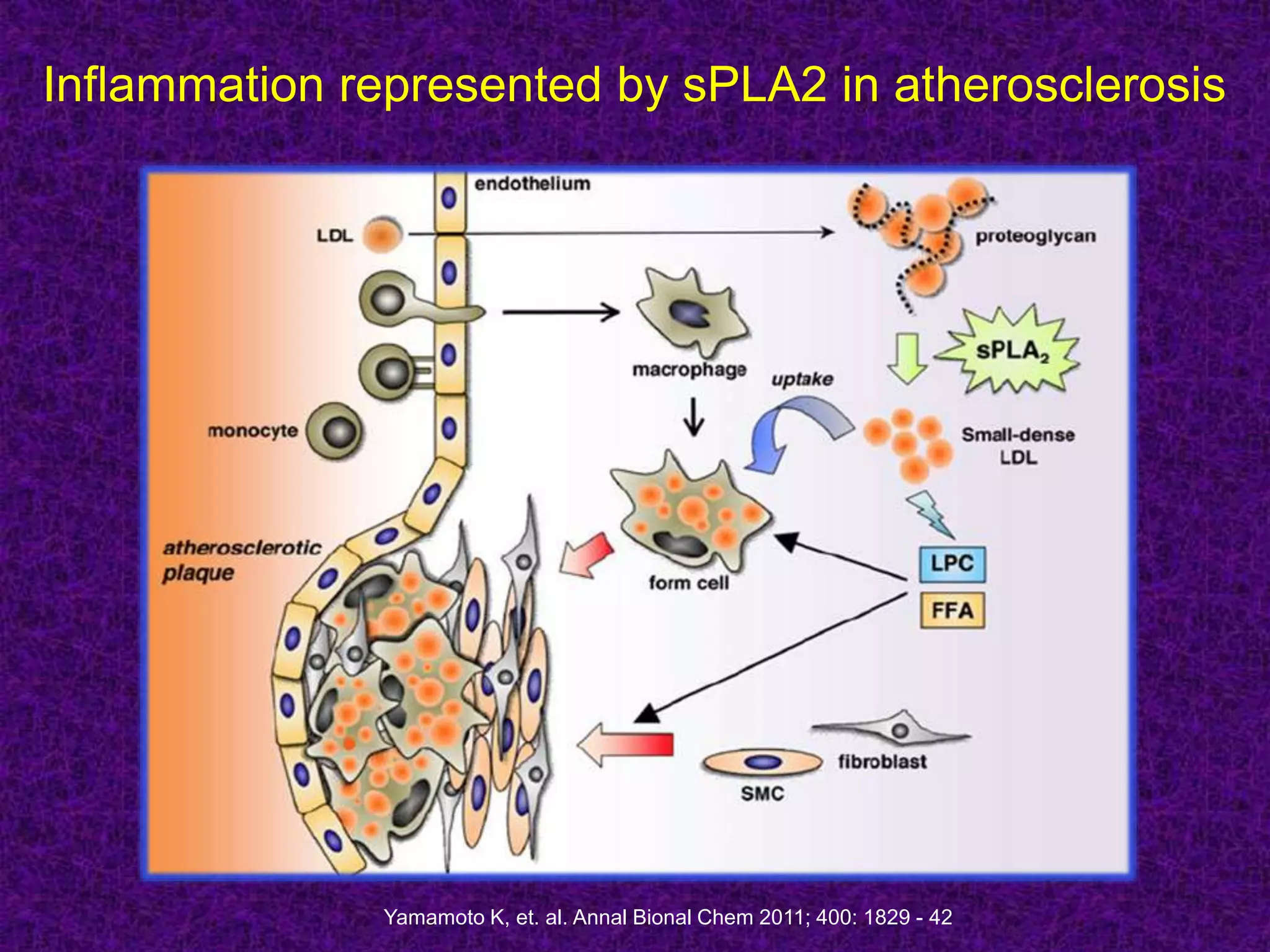 Basic pathogenesis of atherothrombosis | PPTX
