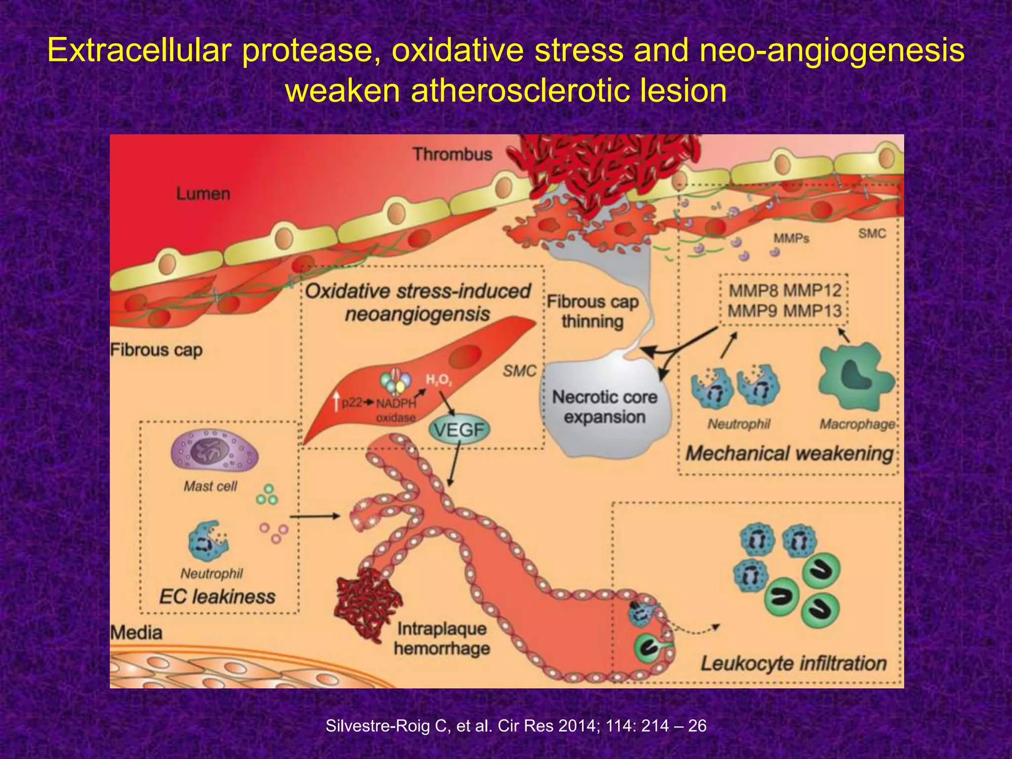 Basic pathogenesis of atherothrombosis | PPTX