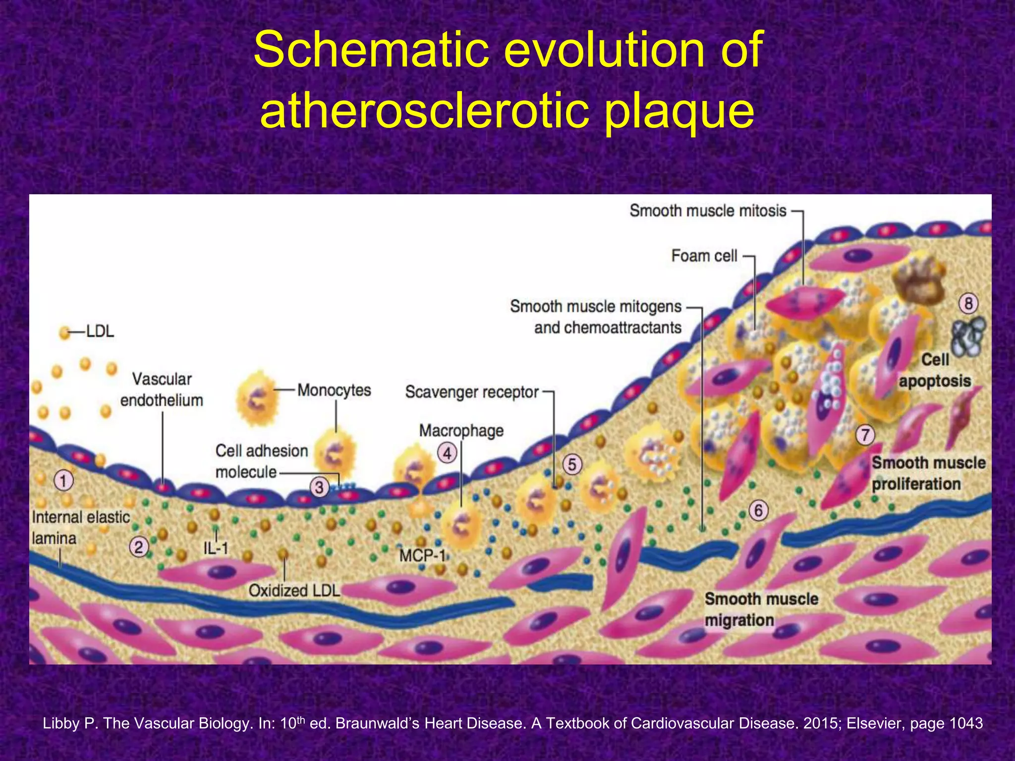 Basic pathogenesis of atherothrombosis | PPTX