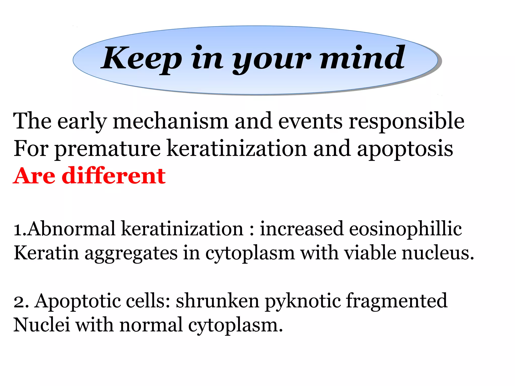 Basic Pathological Reactions of the Skin - Dr Zainab Almossalli | PPT