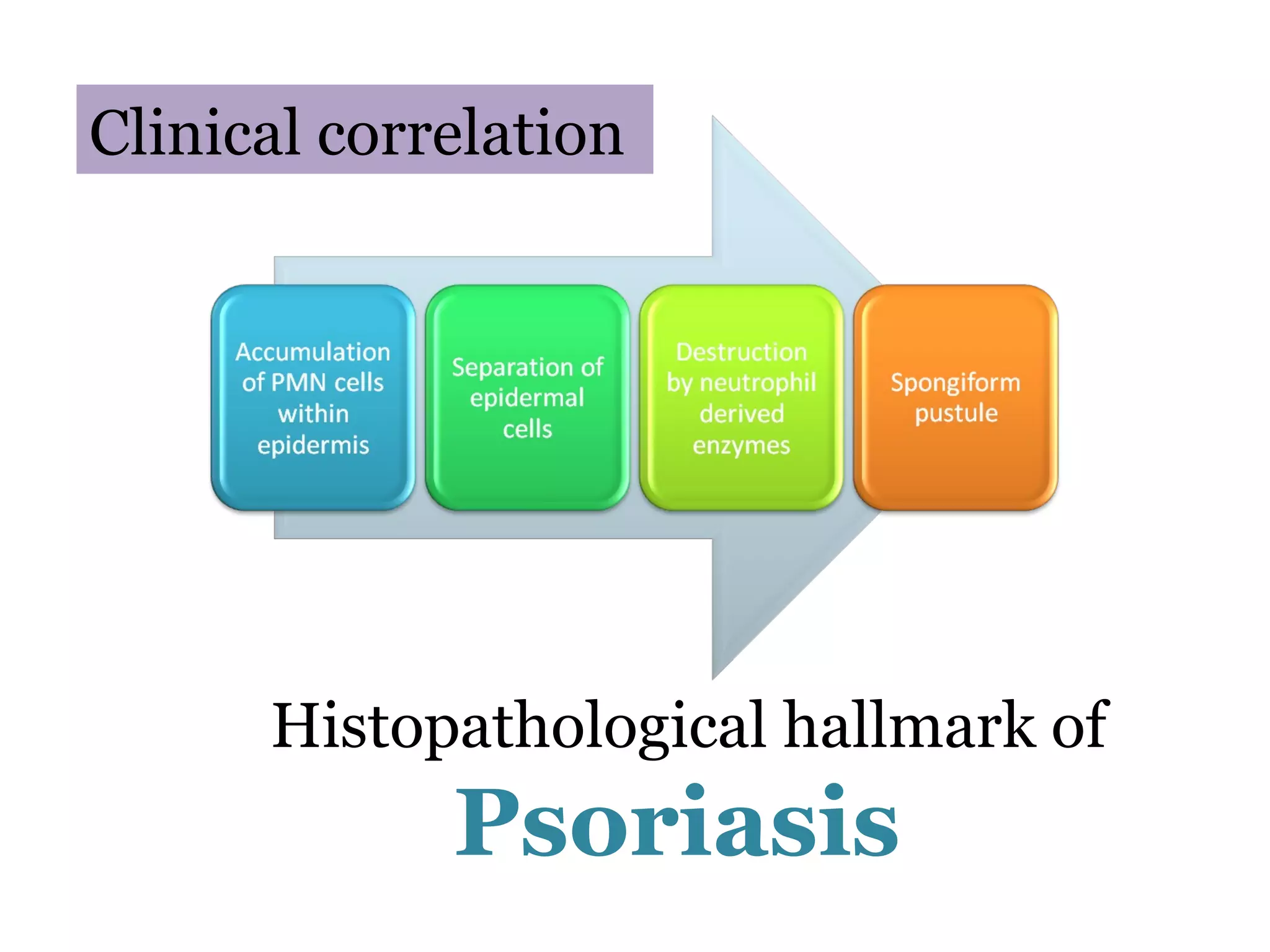Basic Pathological Reactions of the Skin - Dr Zainab Almossalli | PPT