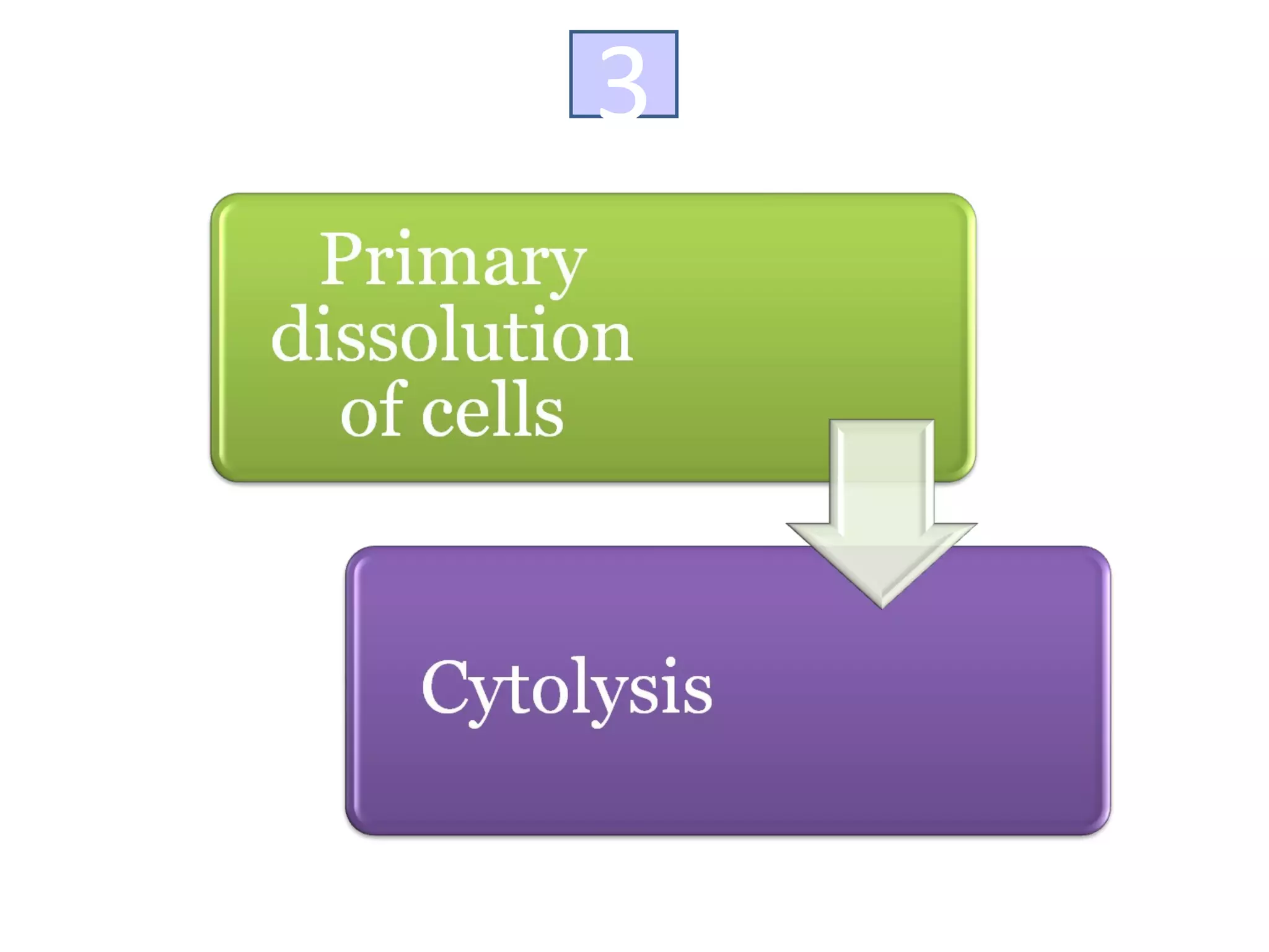 Basic Pathological Reactions of the Skin - Dr Zainab Almossalli | PPT