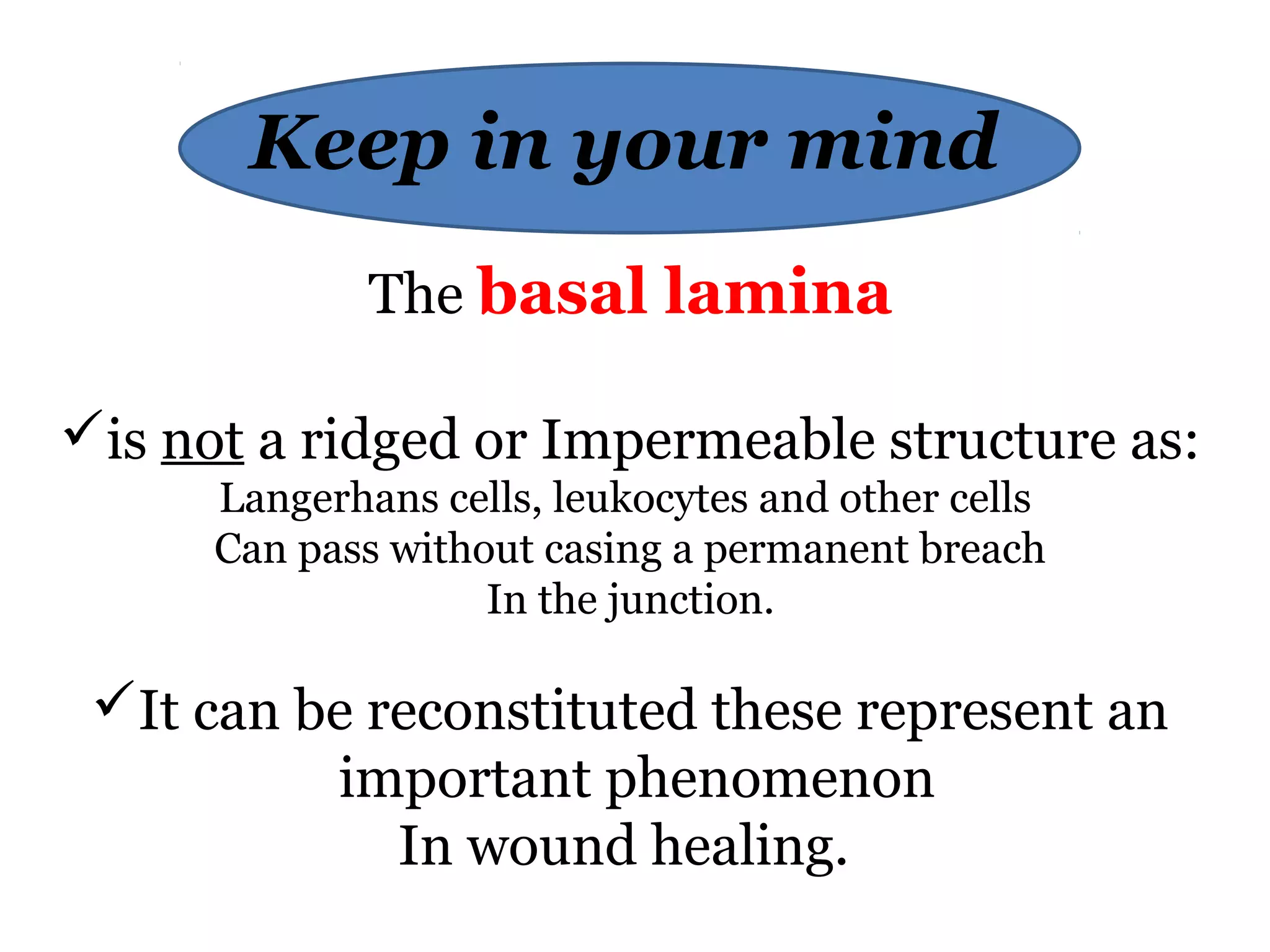 Basic Pathological Reactions of the Skin - Dr Zainab Almossalli | PPT