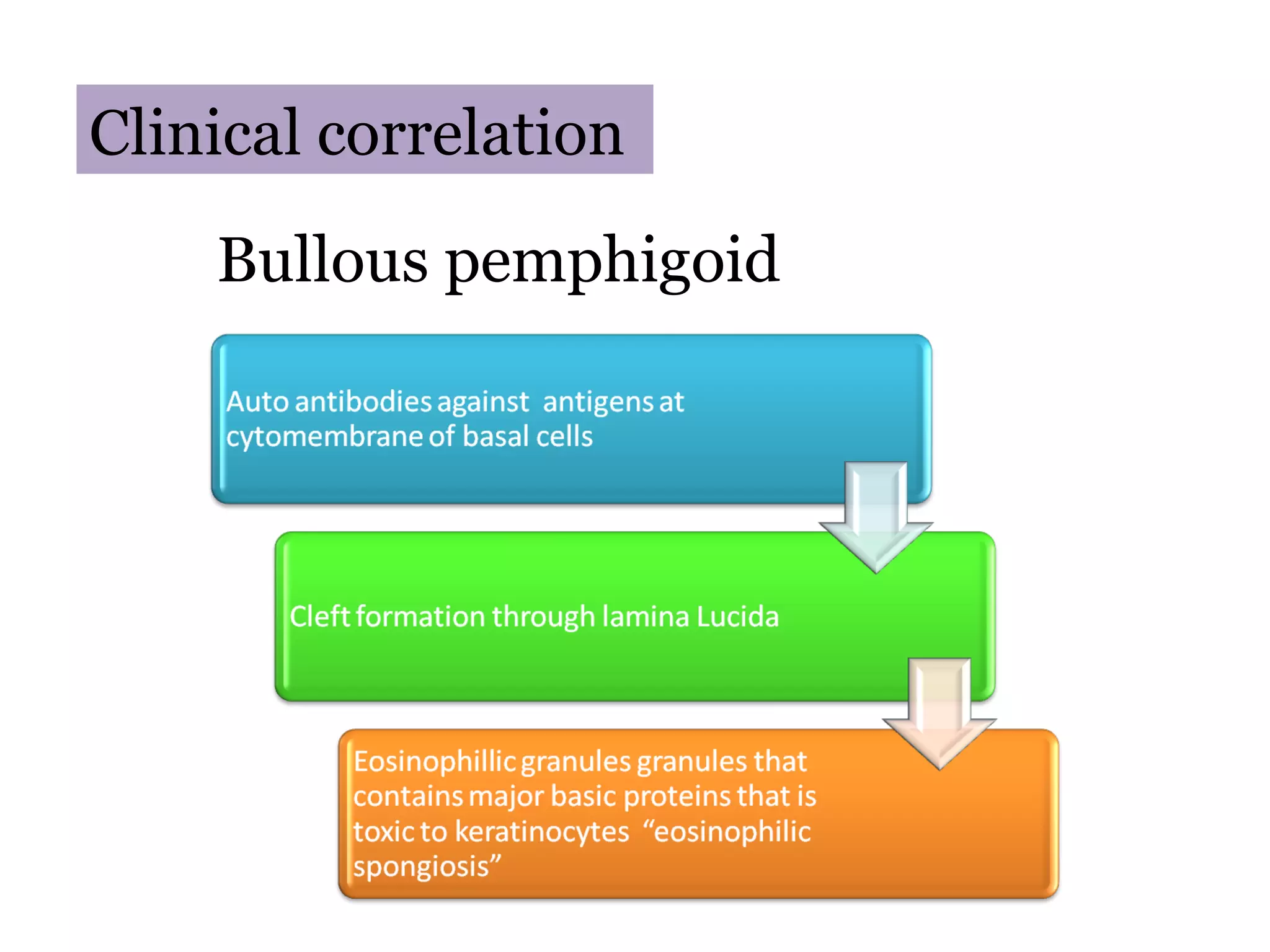 Basic Pathological Reactions of the Skin - Dr Zainab Almossalli | PPT