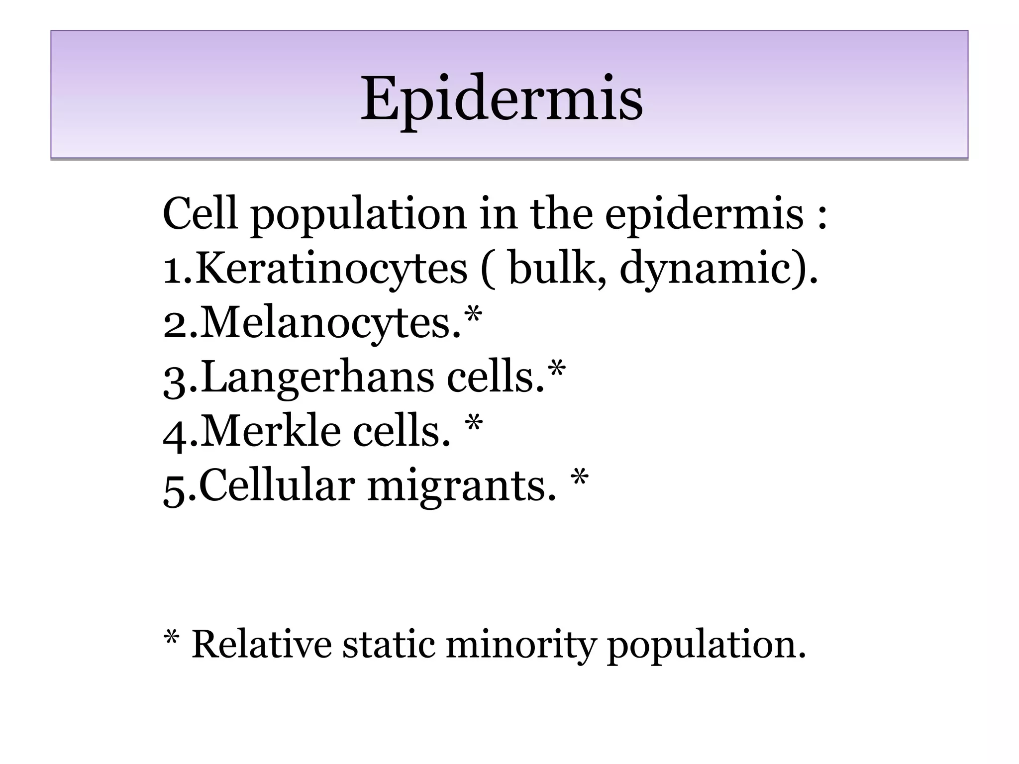Basic Pathological Reactions of the Skin - Dr Zainab Almossalli | PPT