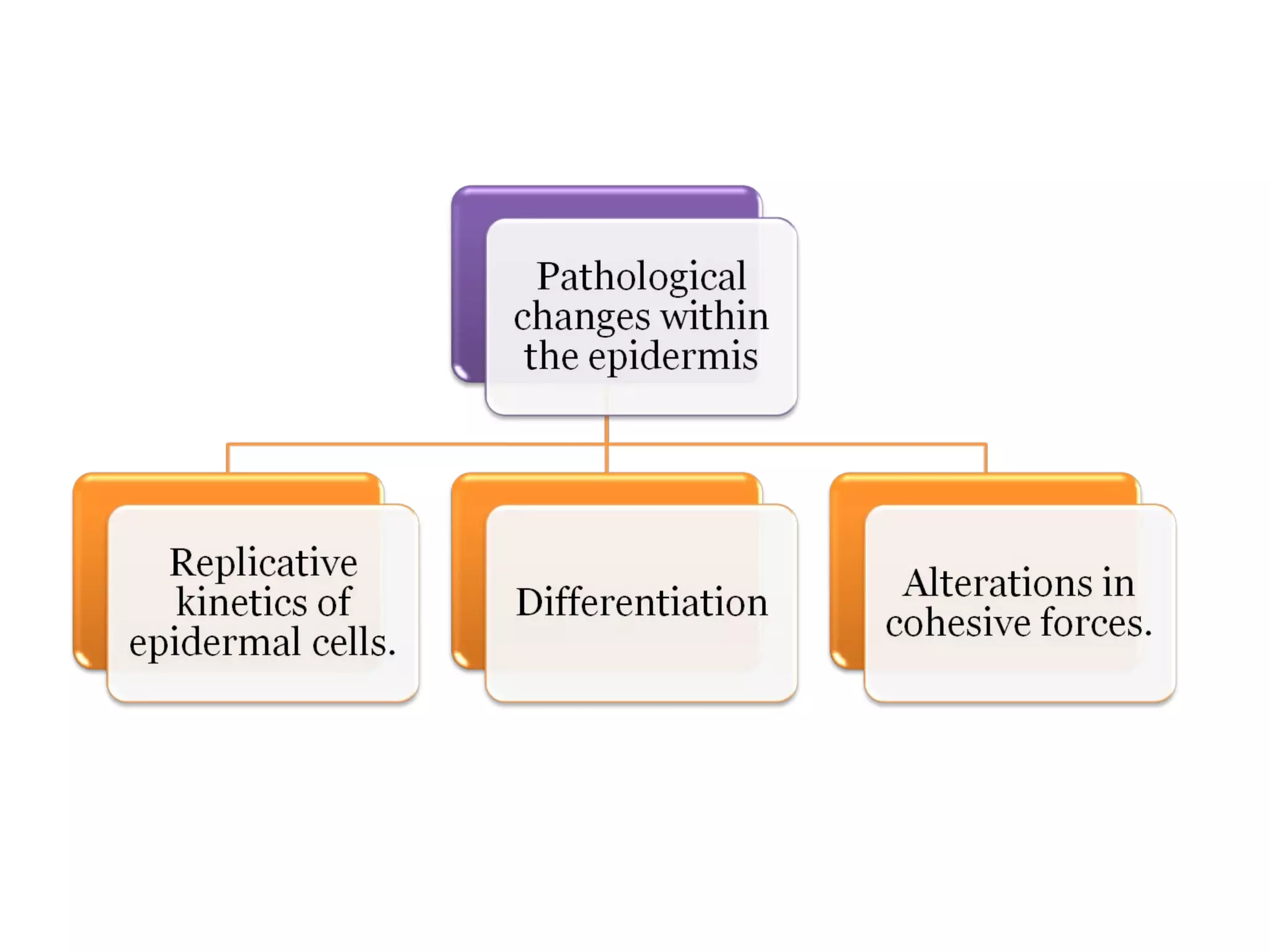 Basic Pathological Reactions of the Skin - Dr Zainab Almossalli | PPT