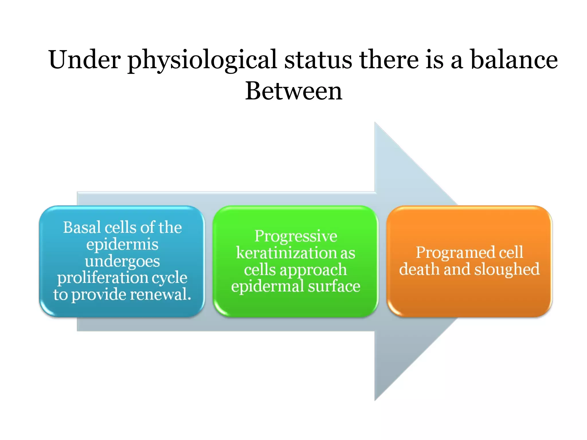 Basic Pathological Reactions of the Skin - Dr Zainab Almossalli | PPT