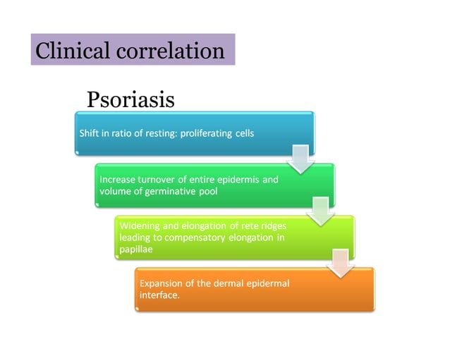 Basic Pathological Reactions of the Skin - Dr Zainab Almossalli | PPT