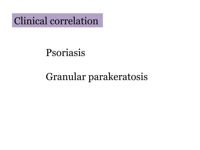 Basic Pathological Reactions of the Skin - Dr Zainab Almossalli | PPT