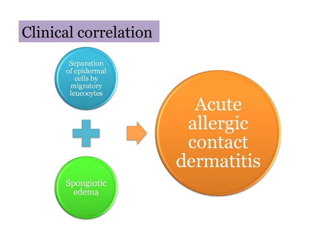Basic Pathological Reactions of the Skin - Dr Zainab Almossalli | PPT